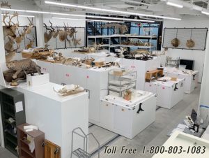 Fine Art and Museum Storage Equipment | Southwest Solutions