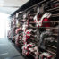 Football Shoulder Pad Racks | Southwest Solutions Group