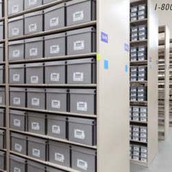 Solander Box Storage for Museums | Southwest Solutions Group
