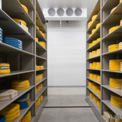 Museum Archival Film Storage