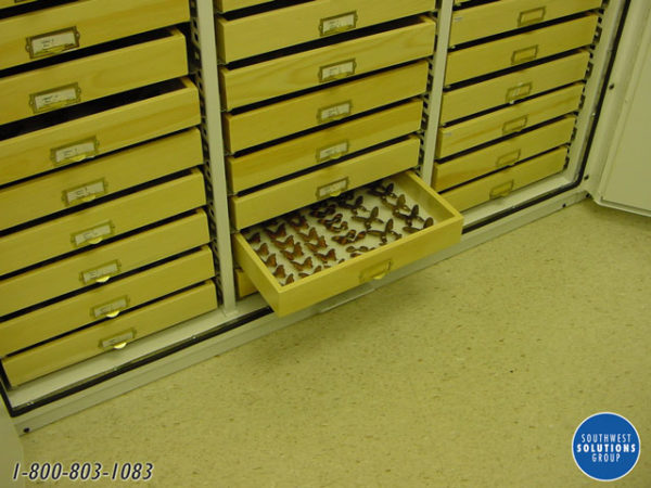 Entomology Storage Cabinets | Southwest Solutions Group