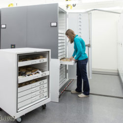 Museum Drawer Cabinets