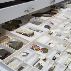 Artifact and Sculpture Storage for Museums
