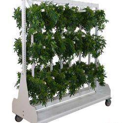 Cannabis Drying Racks