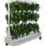 Cannabis Drying Racks
