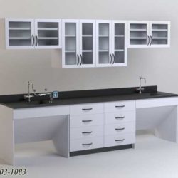 Laboratory Storage Solutions | Southwest Solutions Group