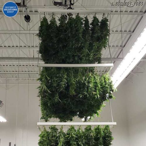 Cannabis Drying Racks