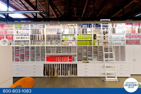 Library Shelves with Ladder